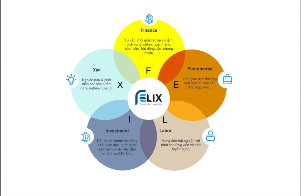FELIX CONSULTANCY SERVICES - FCS - CÔNG TY CỔ PHẦN GIẢI PHÁP CÔNG NGHỆ ...