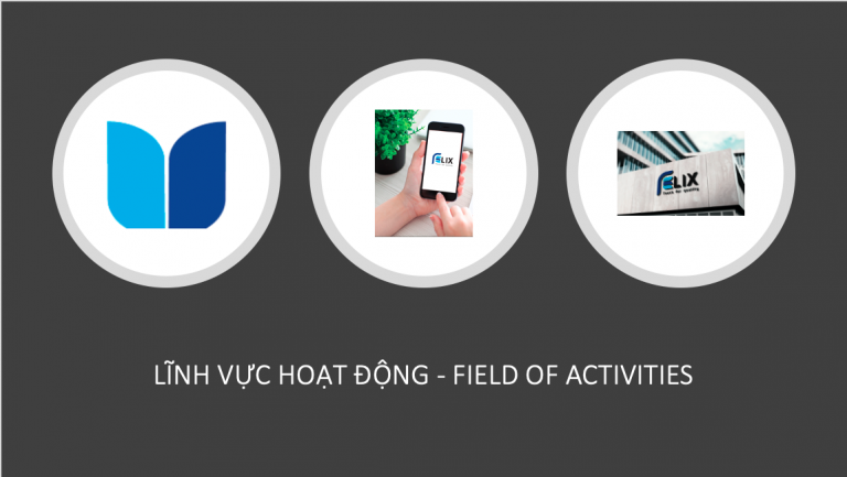 CÔNG TY CỔ PHẦN GIẢI PHÁP CÔNG NGHỆ FELIX - Touch for quality